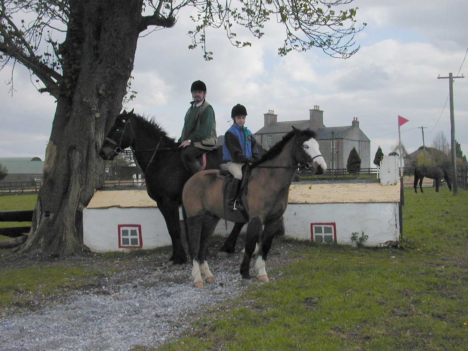 Riding Irish Horses in Ireland – SW COSGROVE