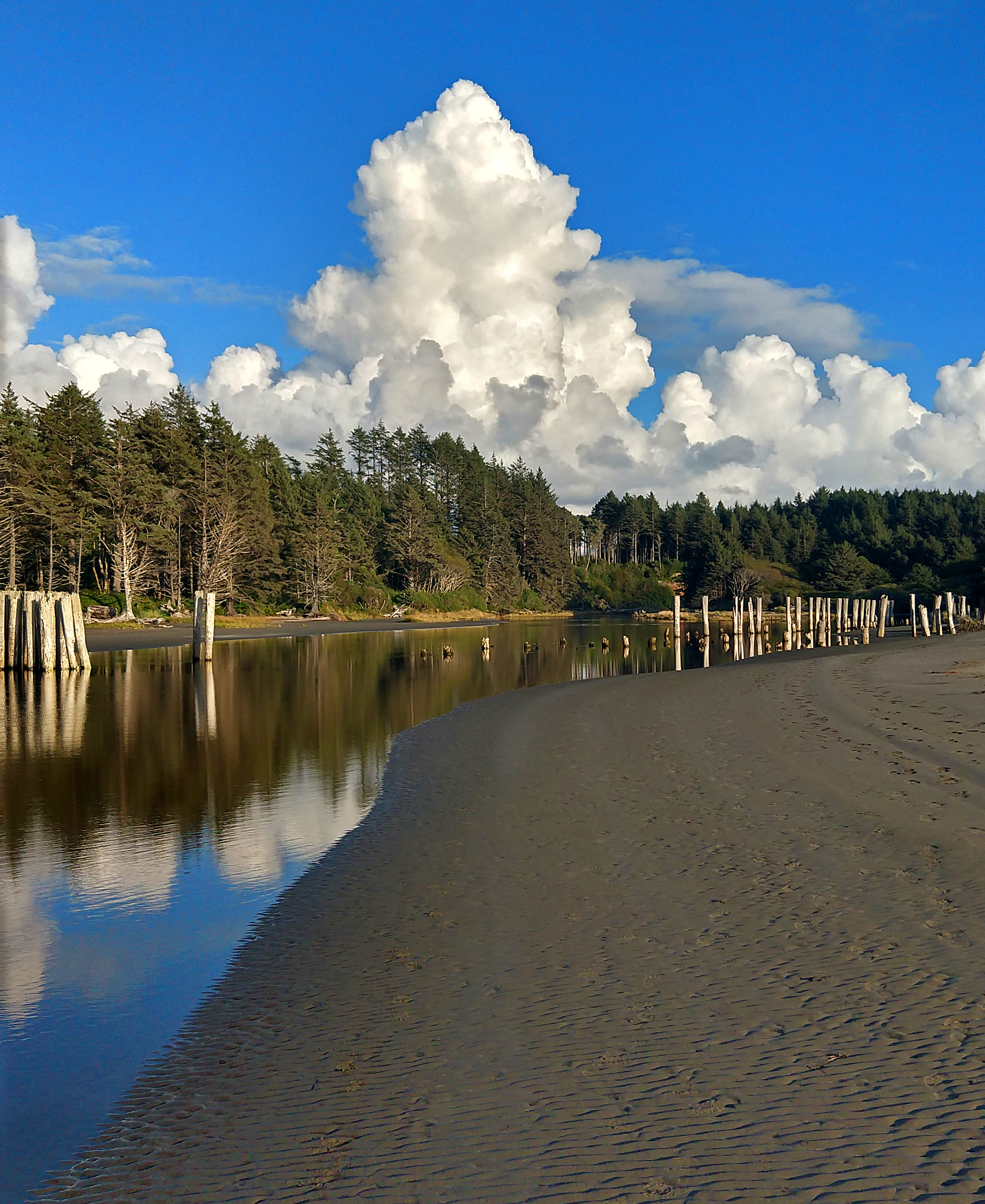 Walking on the Western Edge: Moclips River Morning – SW COSGROVE